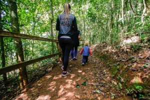 Trilhas - Ecoparque Sperry