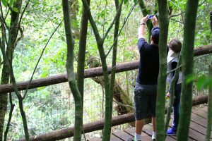 Trilhas - Ecoparque Sperry