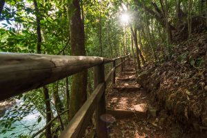 Trilhas - Ecoparque Sperry